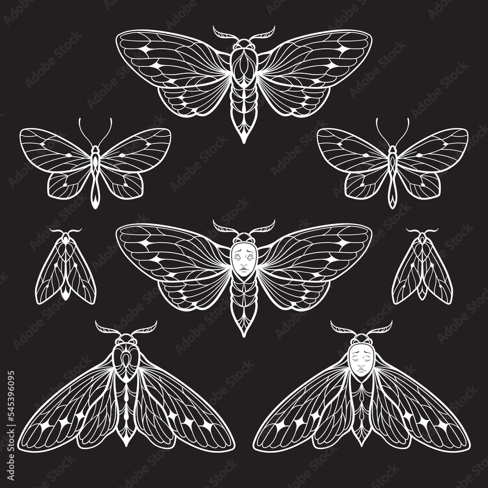 Moths and butterflies hand drawn line art gothic tattoo design set ...