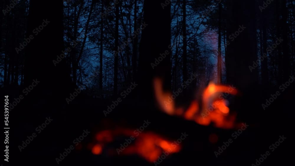 Campfire in the forest. Beautiful landscape of nature and trees. Sparks ...