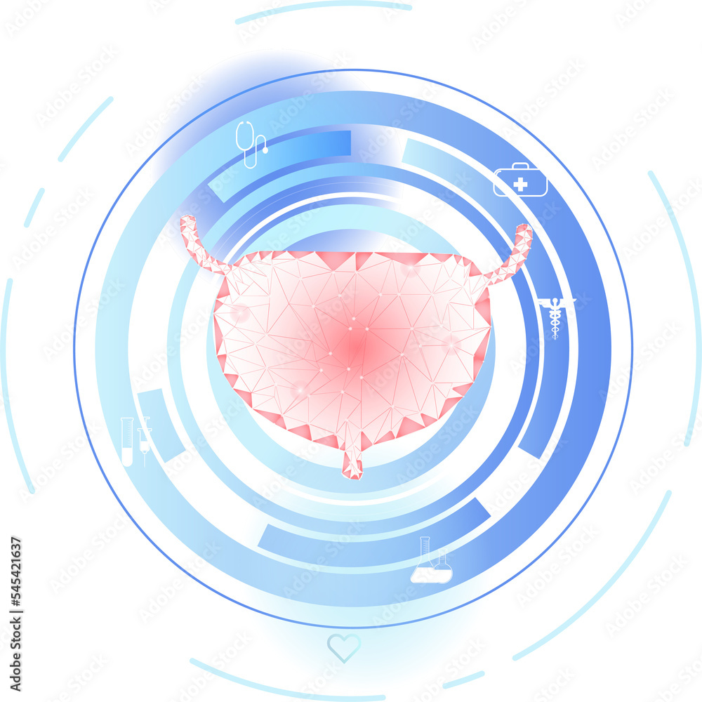 Bladder is a human internal organ. Design with low poly technique. Dots ...