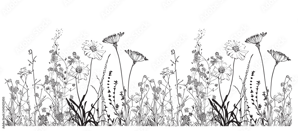 Wild flowers in the field border sketch hand drawn Vector illustration ...