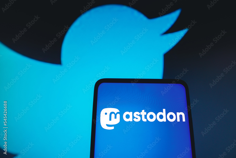 November 12, 2022, Brazil. In this photo illustration, the social media ...