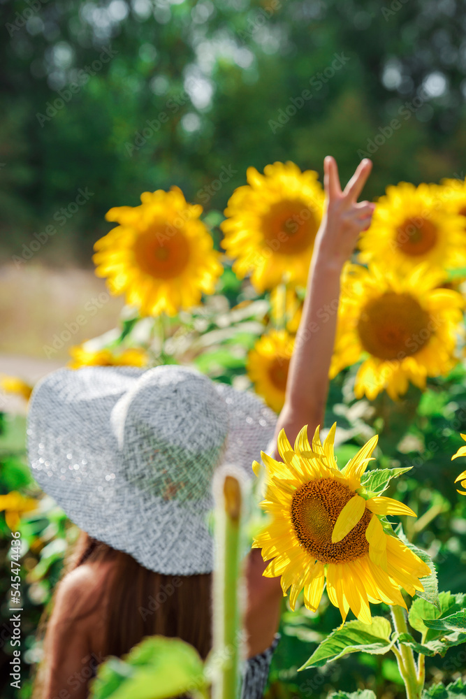 Teenage hand peeps out of a field of sunflowers and shows a friendly ...
