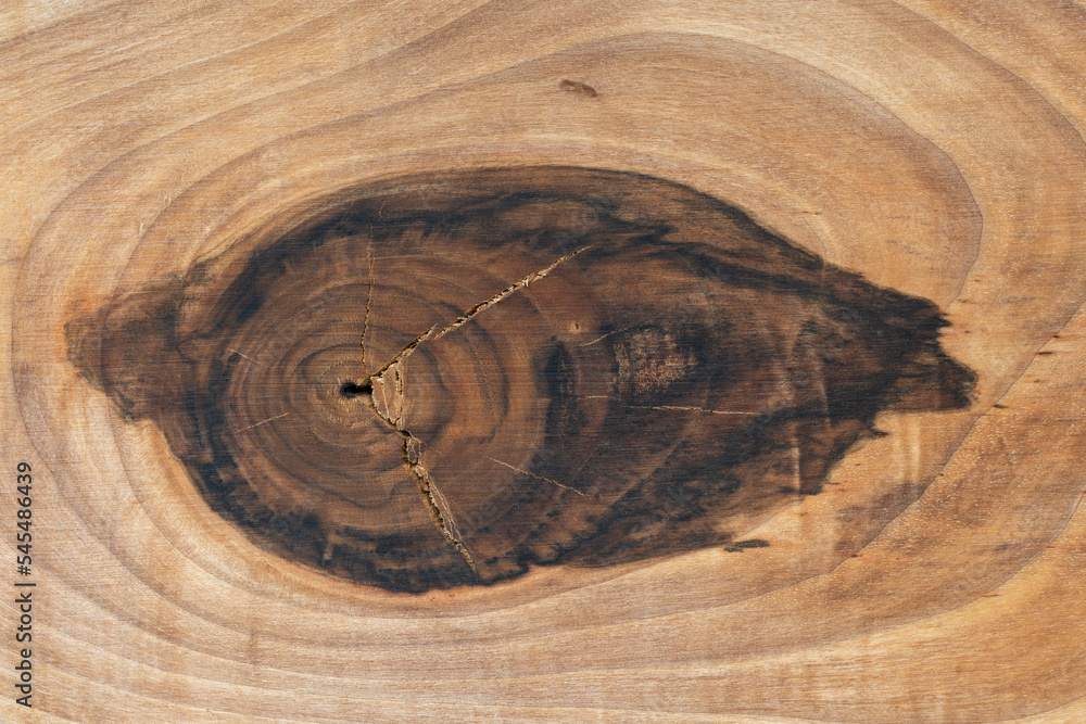 Top view of walnut tree cross-section with a big knot. Wood grain ...