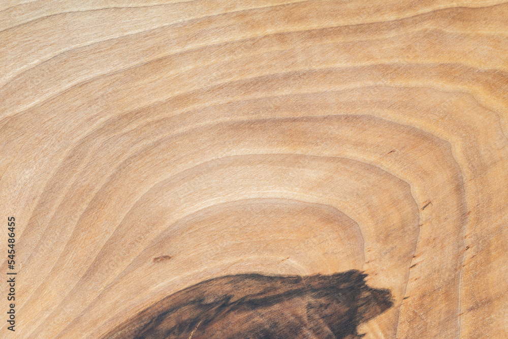 Walnut tree cross-section with stripped texture for the background ...