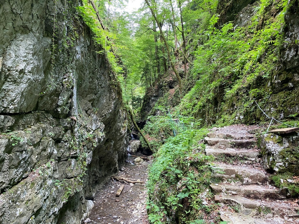 Special geomorphological reserve Devil's Pass canyon or Devil's Passage ...