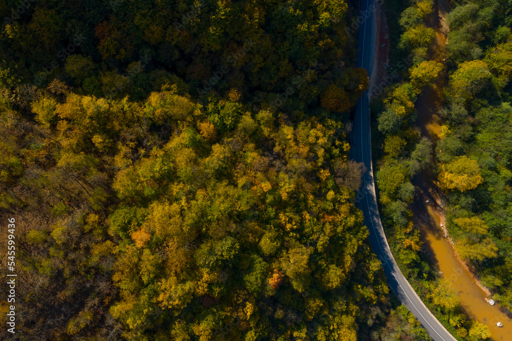 Road and river side by side surrounded by forest in autumn Stock Photo ...