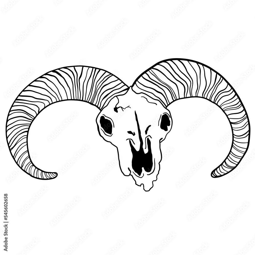 Ram skull. Vector outline ram skull in black and white. Design for ...