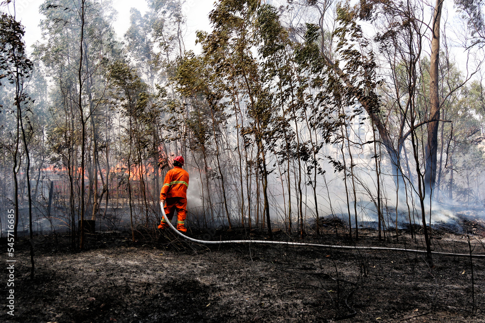 Firefighter fireman using water and extinguisher to fighting with fire ...