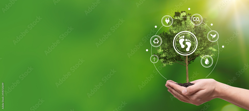 Carbon footprint concept with tree on hand Stock Photo | Adobe Stock