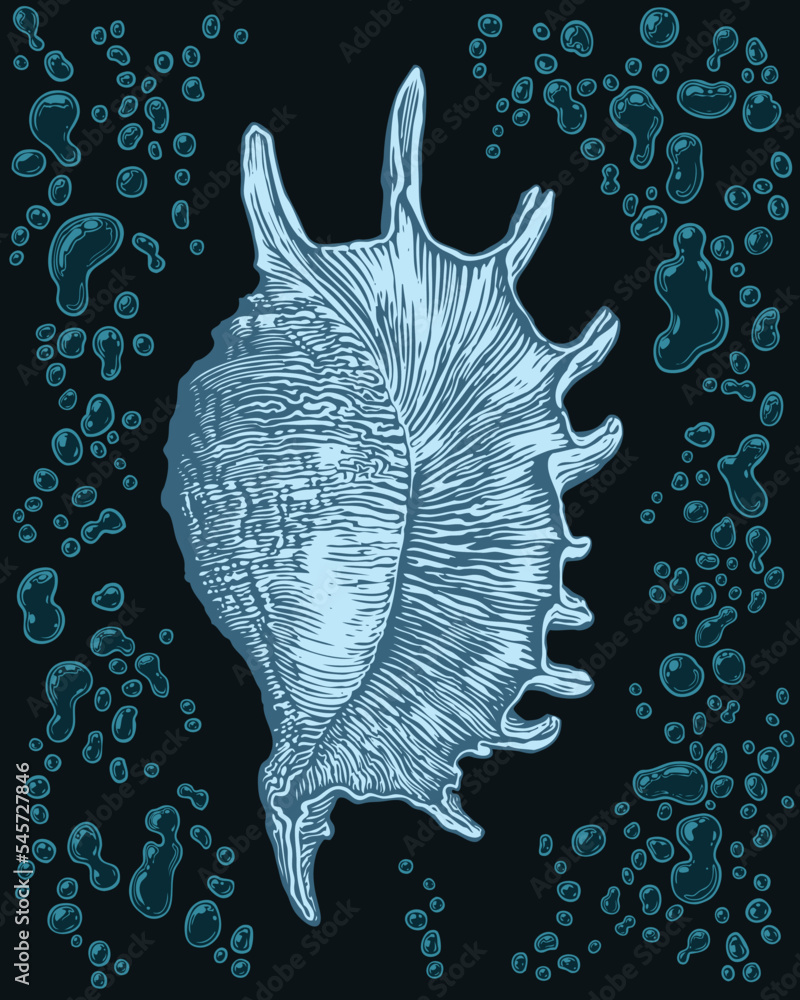 Seashell underwater. Editable hand drawn illustration. Vector vintage ...