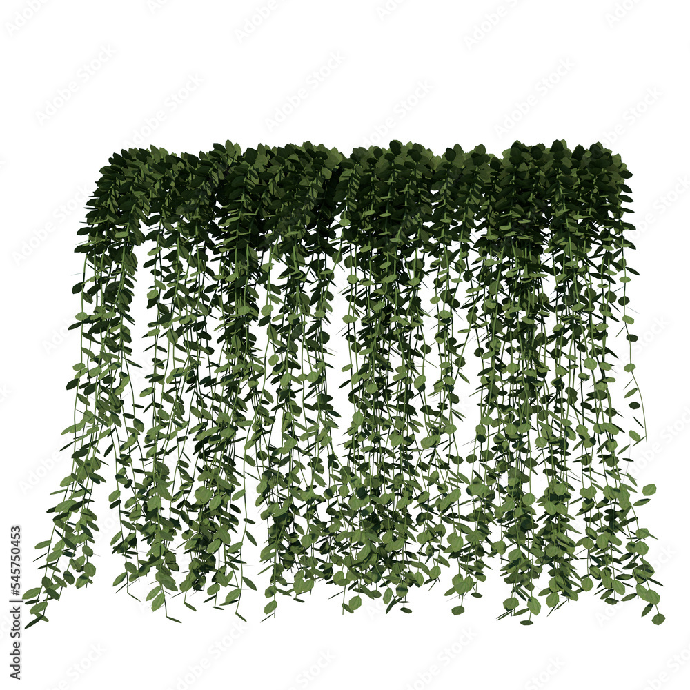 Vernonia Elliptica