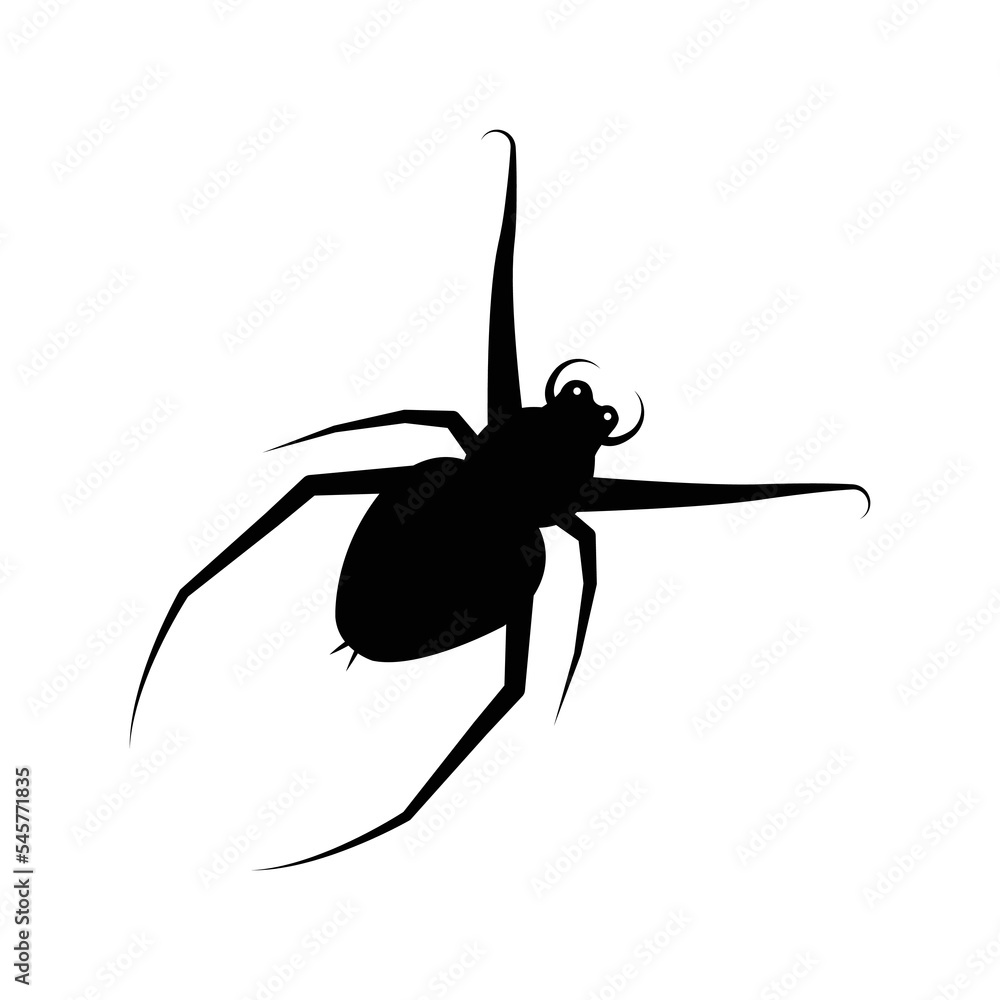 Spider tarantulas arachnid insect icon | Black Vector illustration ...