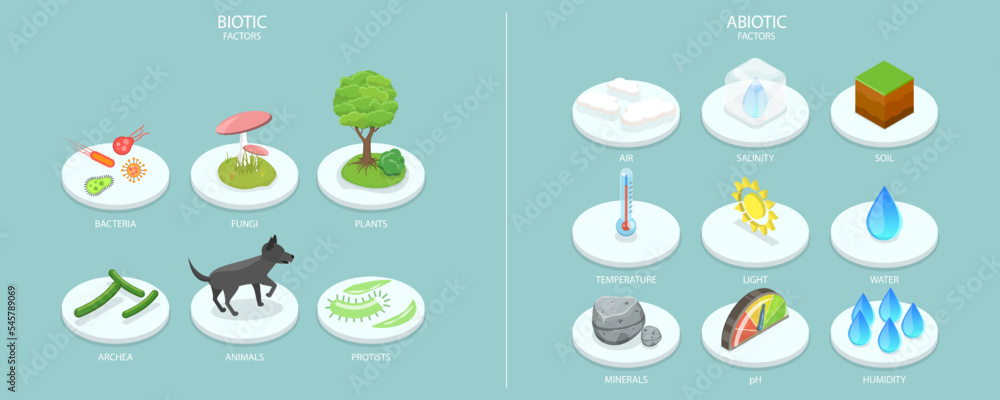 3D Isometric Flat Vector Conceptual Illustration of Biotic And Abiotic ...