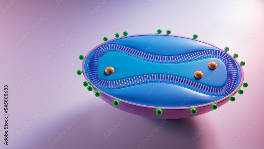 3D Illustration showing the Cell Structure of the Monkeypox Virus. 3D ...