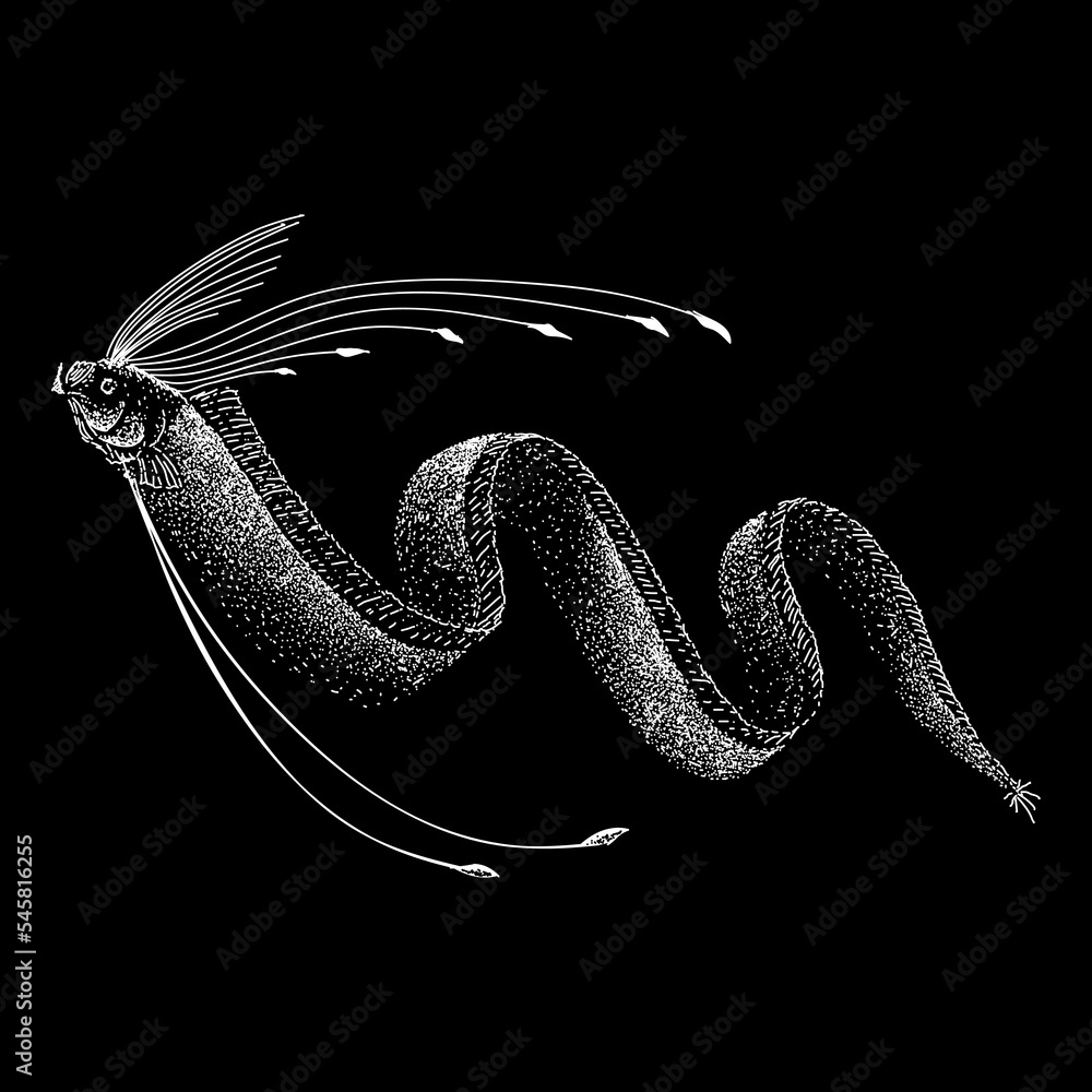Oarfish hand drawing vector isolated on black background. Stock Vector ...