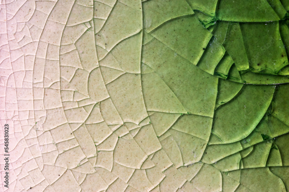 Close up to background and texture of stretch marks cracked on emerald ...