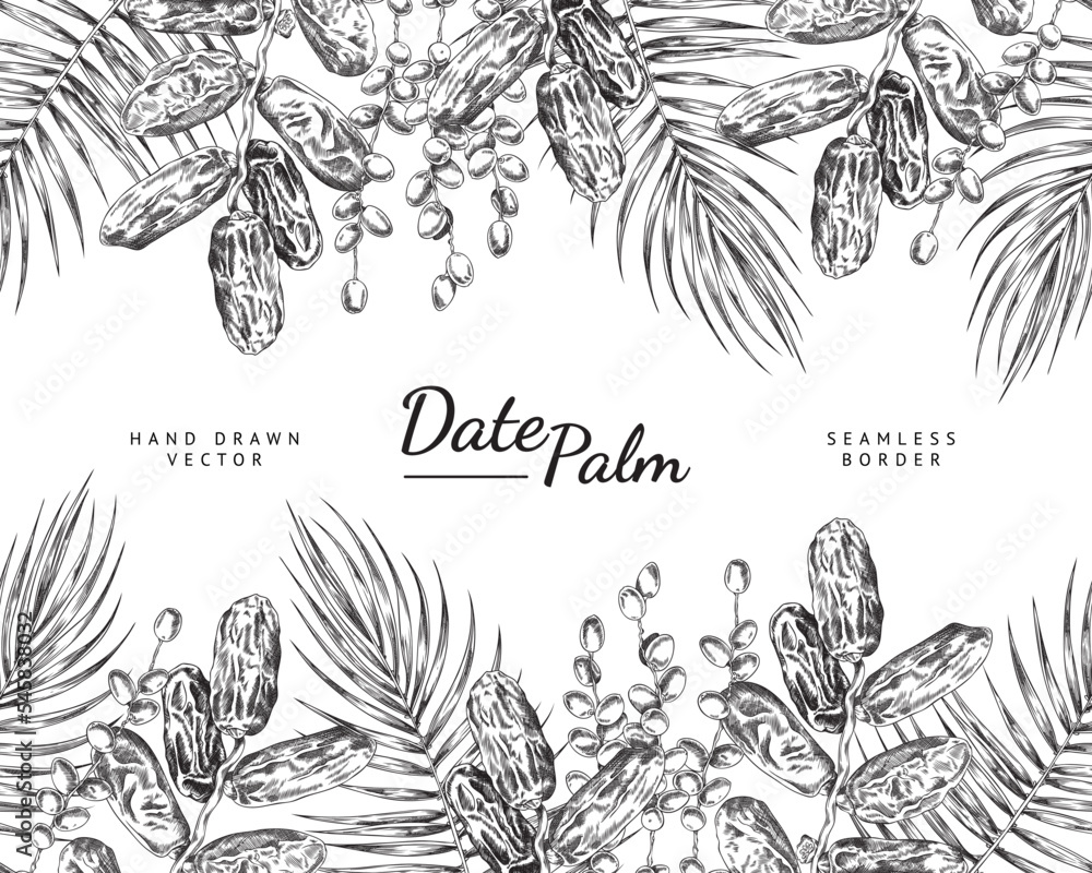 Seamless border upper and bottom edging with date fruits, sketch vector ...