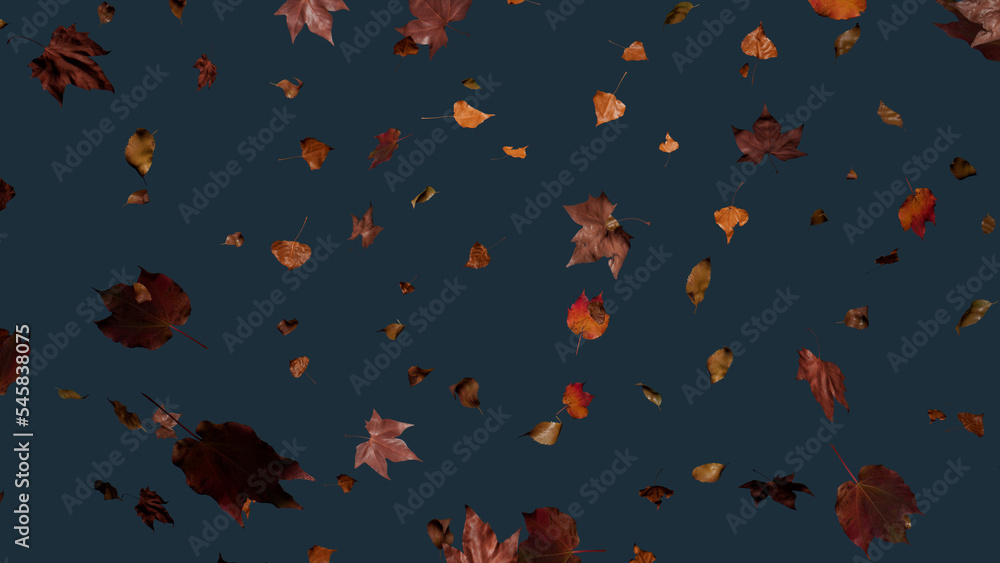 Autumn themed Wallpaper, with Leaves against Blue Grey Color. Seasonal ...