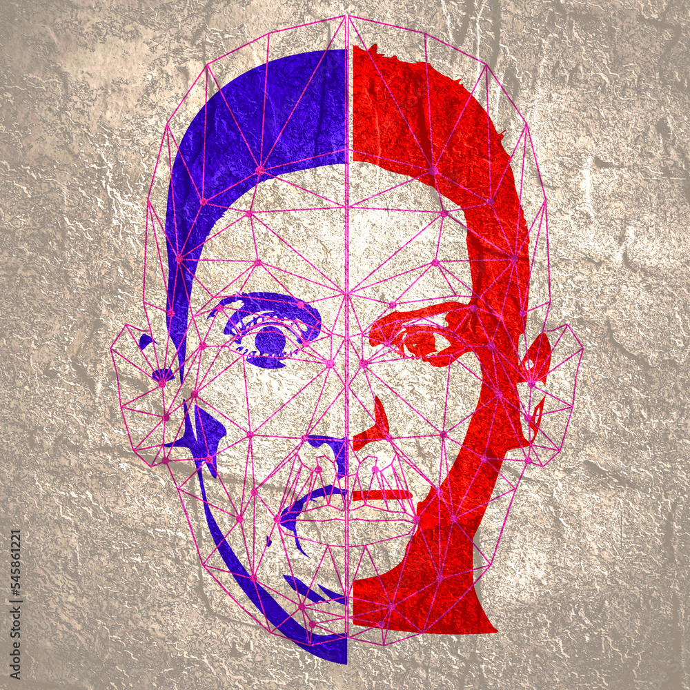 Human face front view silhouette. Schizophrenia and split personality ...