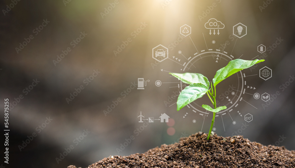 The World Environment Day, Young plant growing on fertile soil ...