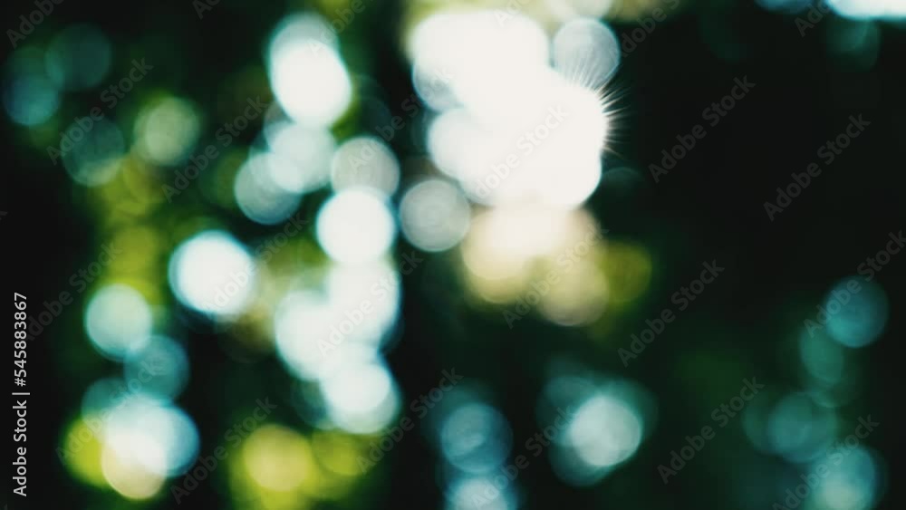 Beautiful green vibrant natural video bokeh abstract background. Summer concept of abstract ...