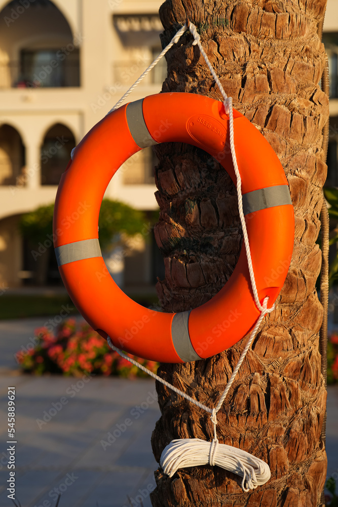 Lifebuoy installed in a swimming pool area as a safety tool in case of ...