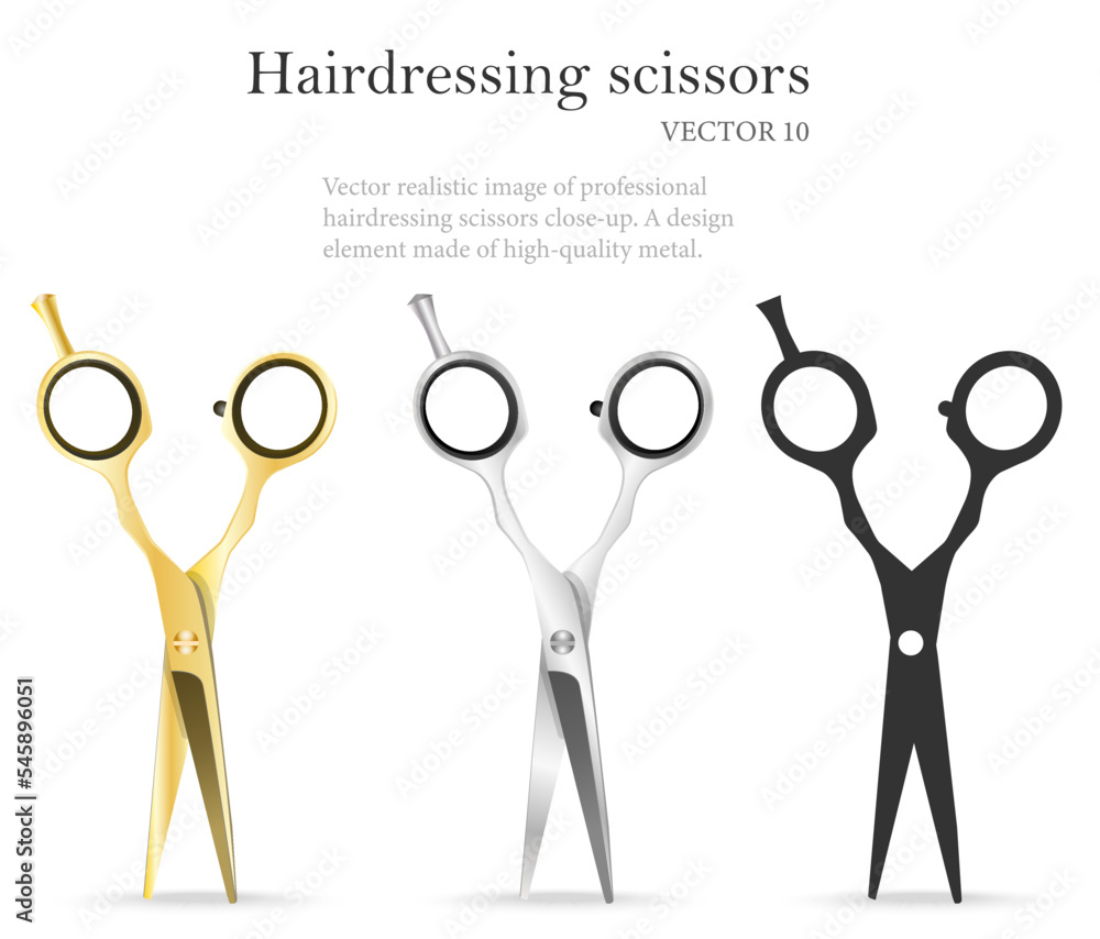 Vector realistic image of professional hairdressing scissors on a white ...