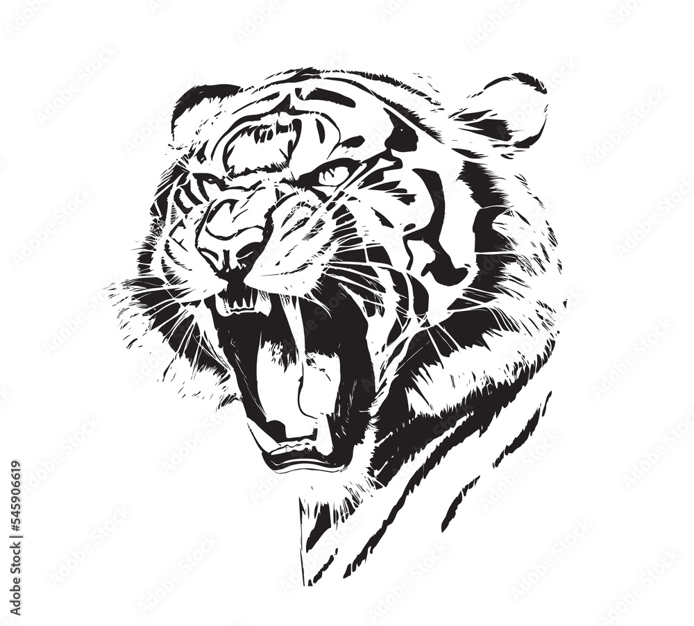 Angry tiger head with roaring mouth hand drawn sketch engraving style ...