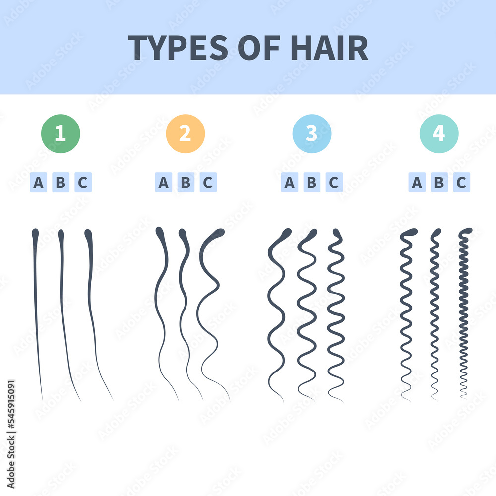 Straight, wavy, curly, kinky hair types classification system set ...