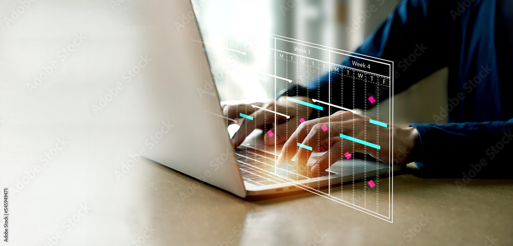 Project management concept , analyst working with computer in ...