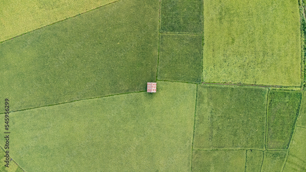 Aerial view shot from drone of the beautiful paddy fields with green ...