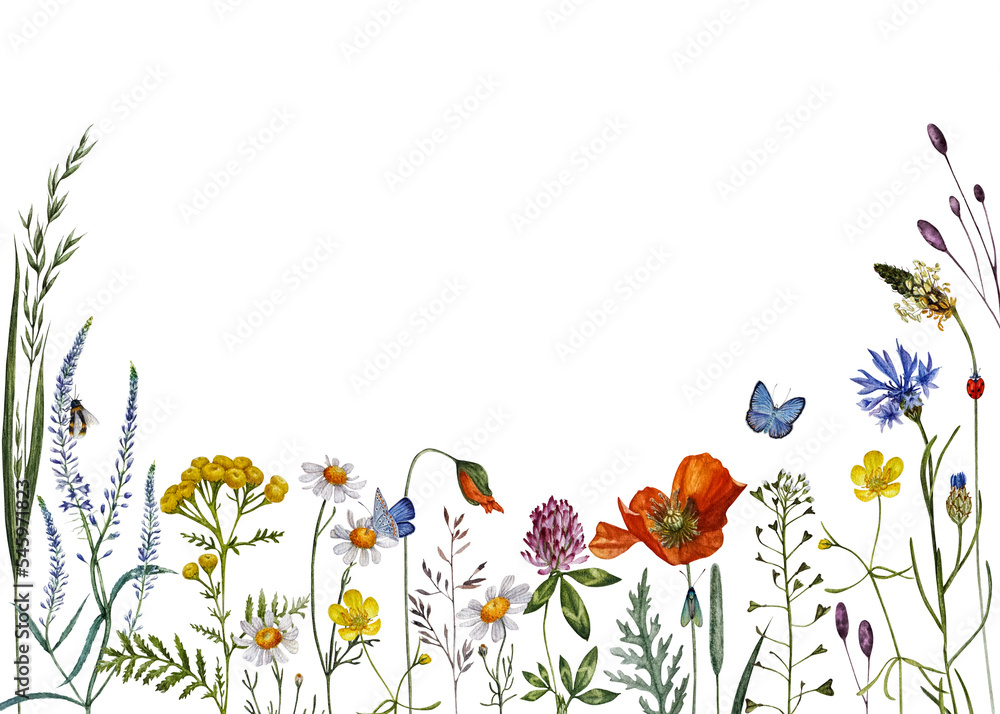 Wildflowers frame. Watercolor floral border for greeting card and ...