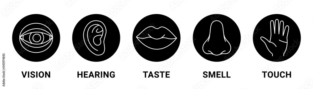 Five senses of a human. Vision, smell, hearing, touch, taste icons. Set ...