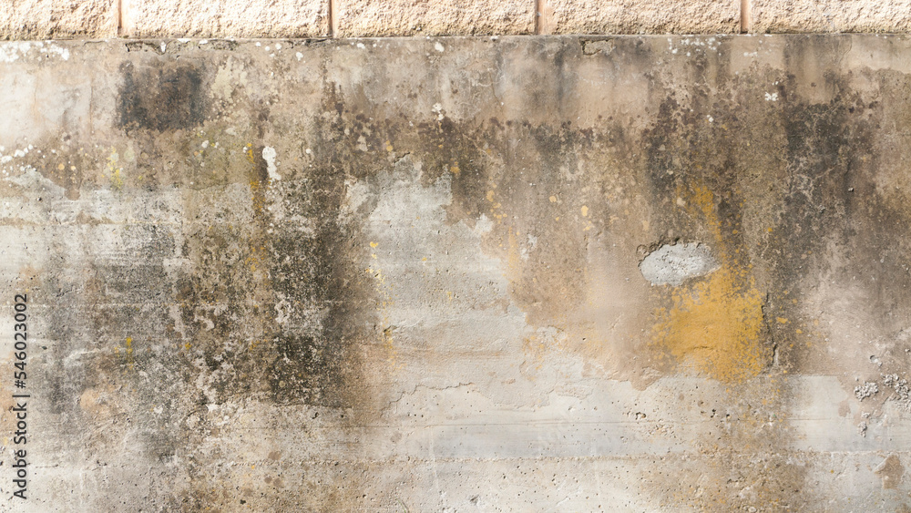 Muro de hormigón con humedades y restos de líquen Stock Photo | Adobe Stock
