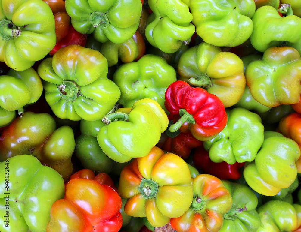 The Hot Cherry Bomb is medium heat pepper, similar to a jalapeno. These ...
