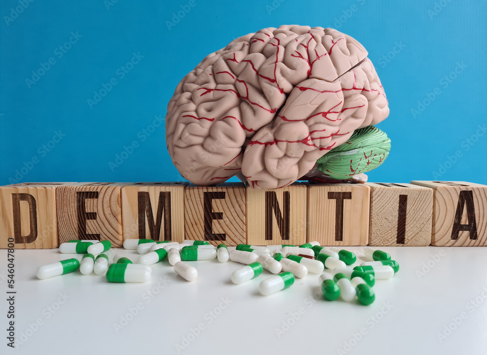 Human brain anatomy pills and word dementia Stock Photo | Adobe Stock