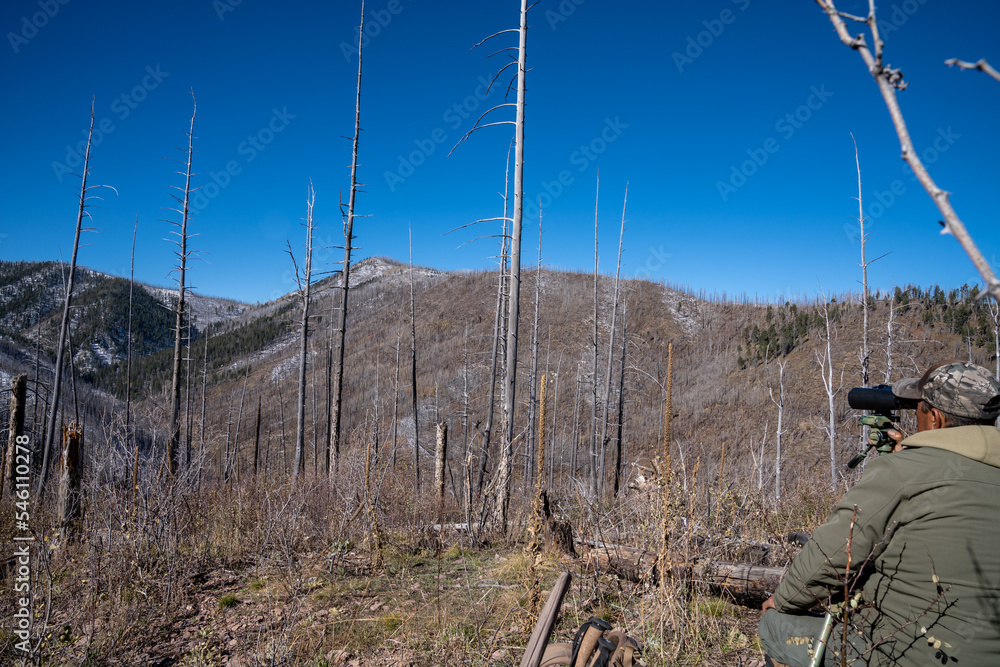 African American hunter sits in the forest, viewing elk through a ...