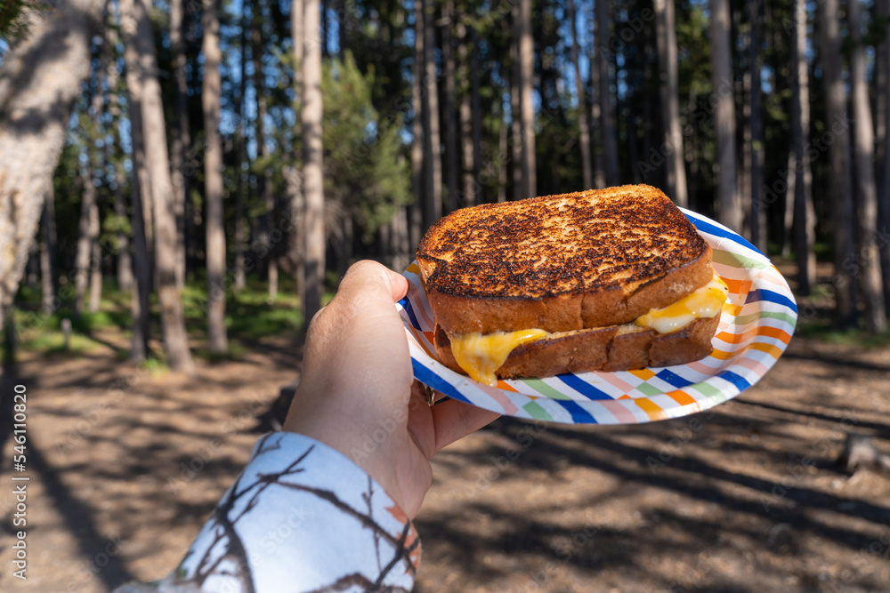 Hand holds up a toasted grilled cheese sandwich on a paper plate, made ...