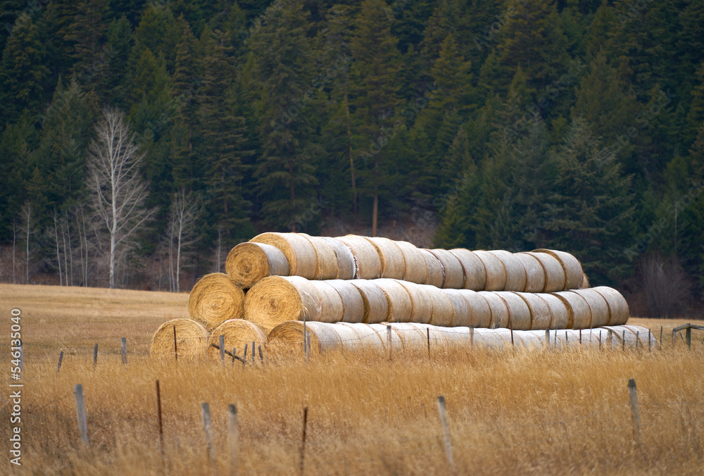Hay Bales for the Winter. Hay is stacked and stored for the winter in ...