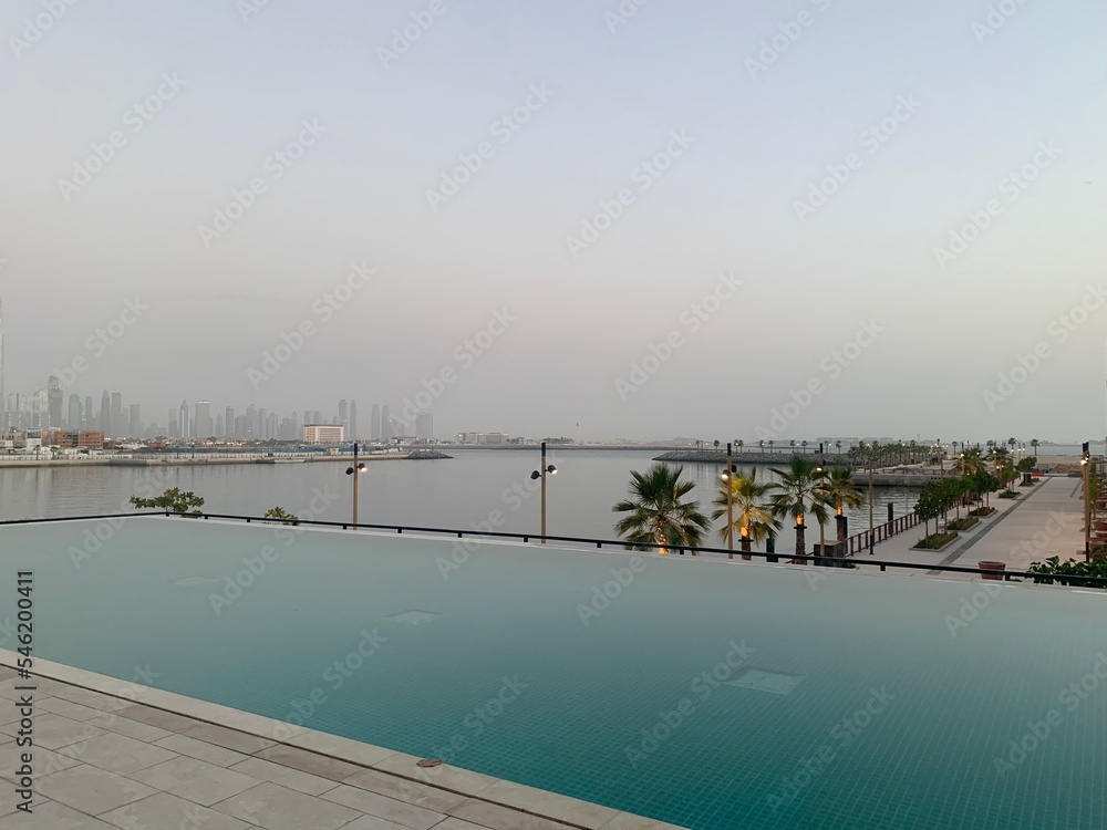Large infinity pool with a view of the Dubai skyline in the United Arab ...
