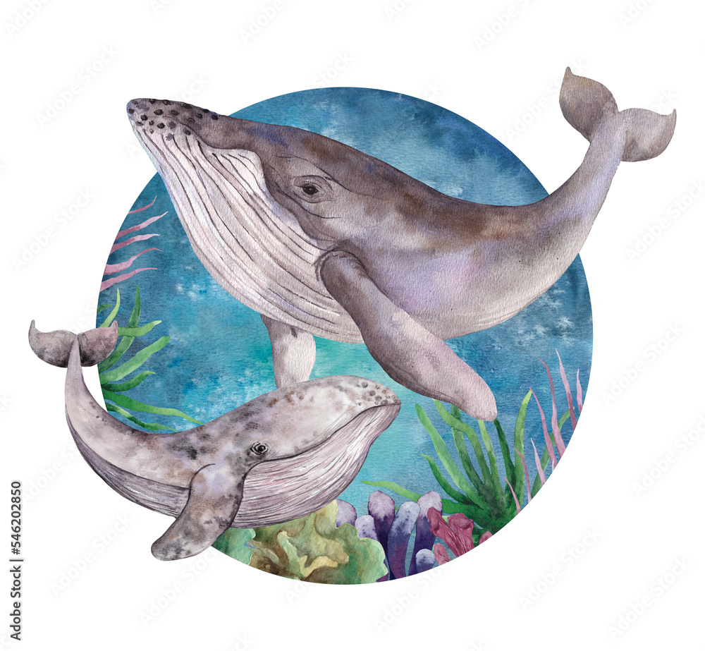Watercolor Mom and Baby Whales Sublimation PNG, Ocean Animals Clipart ...