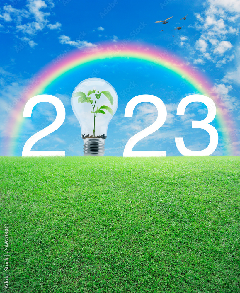2023 white text and light bulb with small tree inside on green grass ...