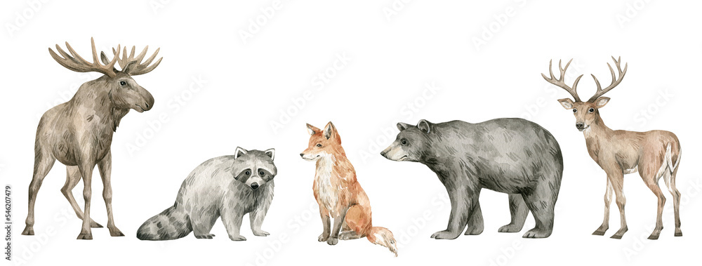 Watercolor set with wild forest animals. Deer, moose, fox, bear ...