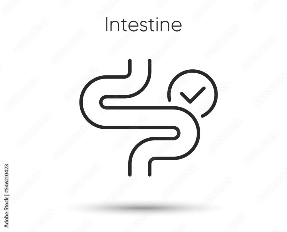Intestine line icon. Digestion sign. Health bowel symbol. Colonoscopy ...