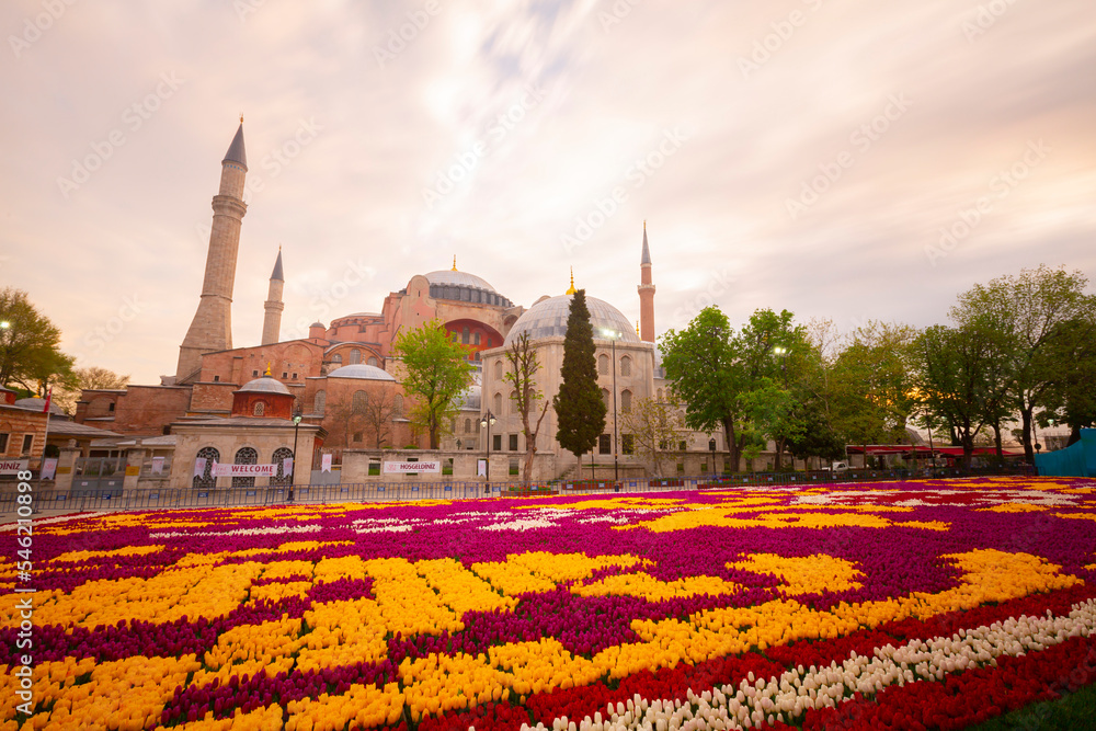 Tulip Festival in Sultahahmet Square. Tulips and Blue Mosque in ...