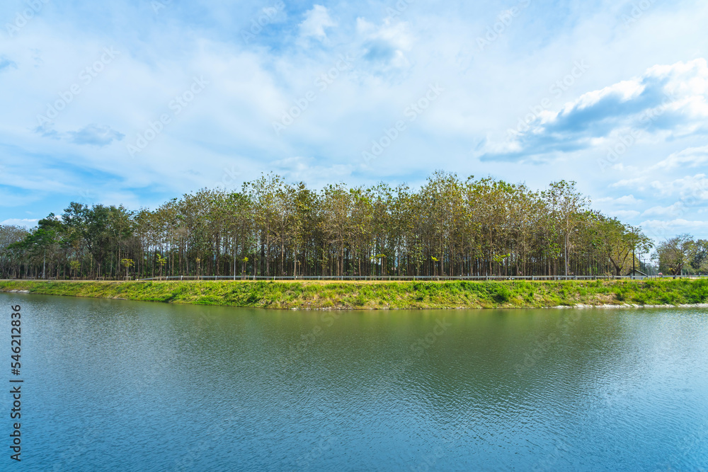 Beautiful and peaceful view of large reservoir with surrounding ...