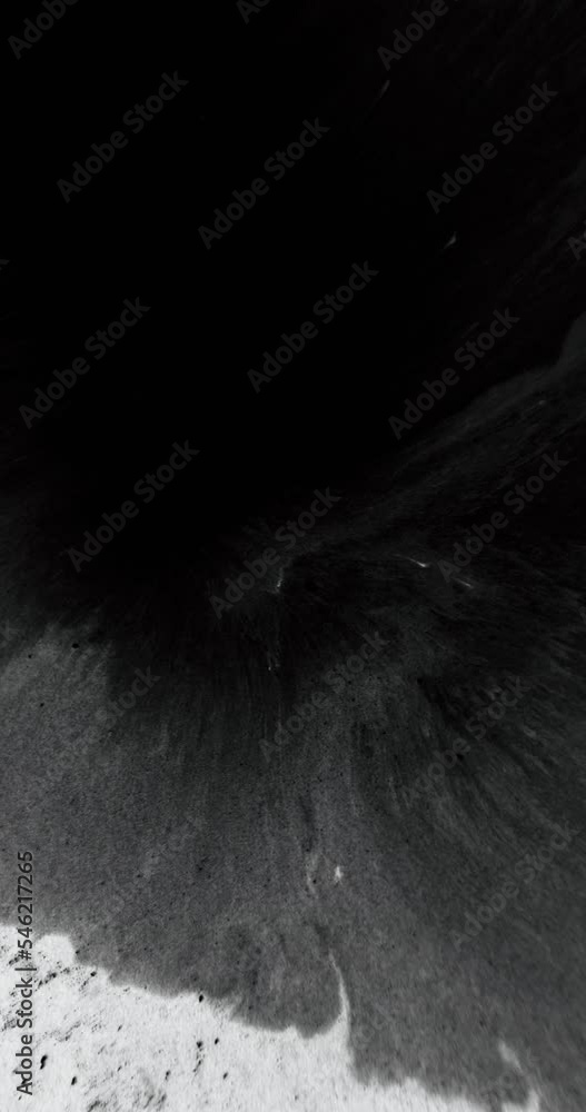 Vertical video. Black ink water drop. Reveal transition. Cover overlay ...