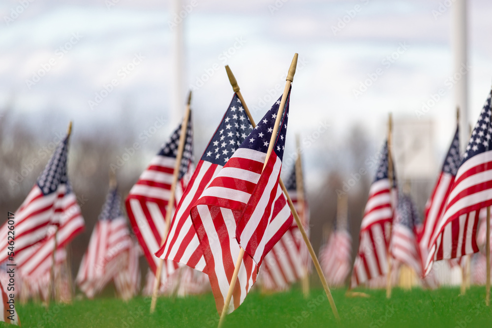 american flags in ground celebrating or honoring veterans that served ...