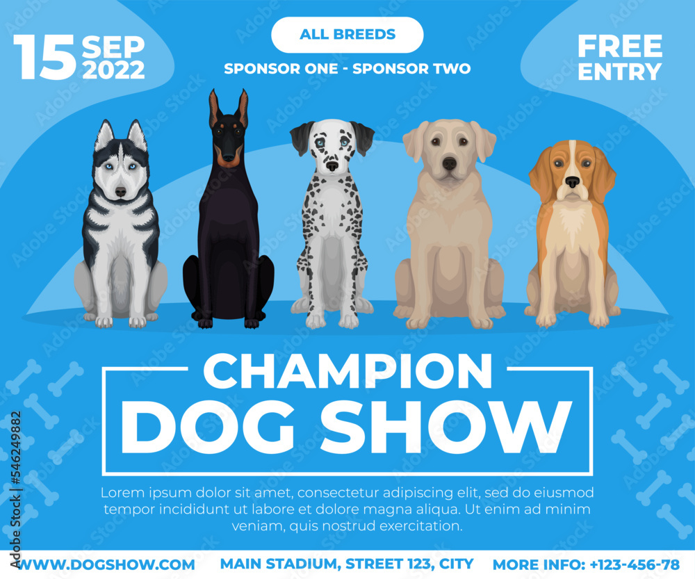 Vetor de Champion dog show poster. Dogs of various breeds posing on ...