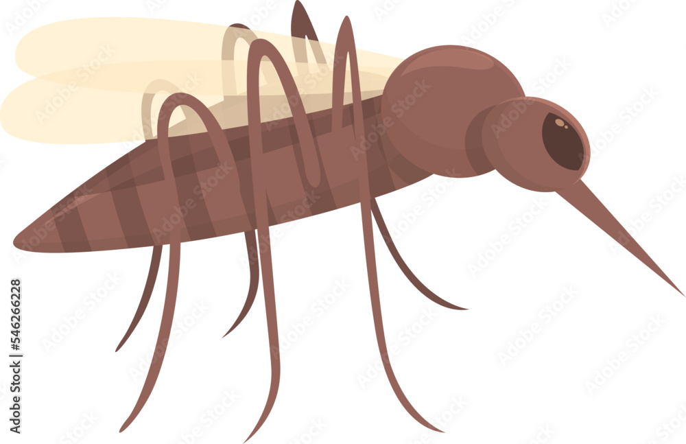 Mosquito insect icon cartoon vector. Control disease. Dengue protection ...